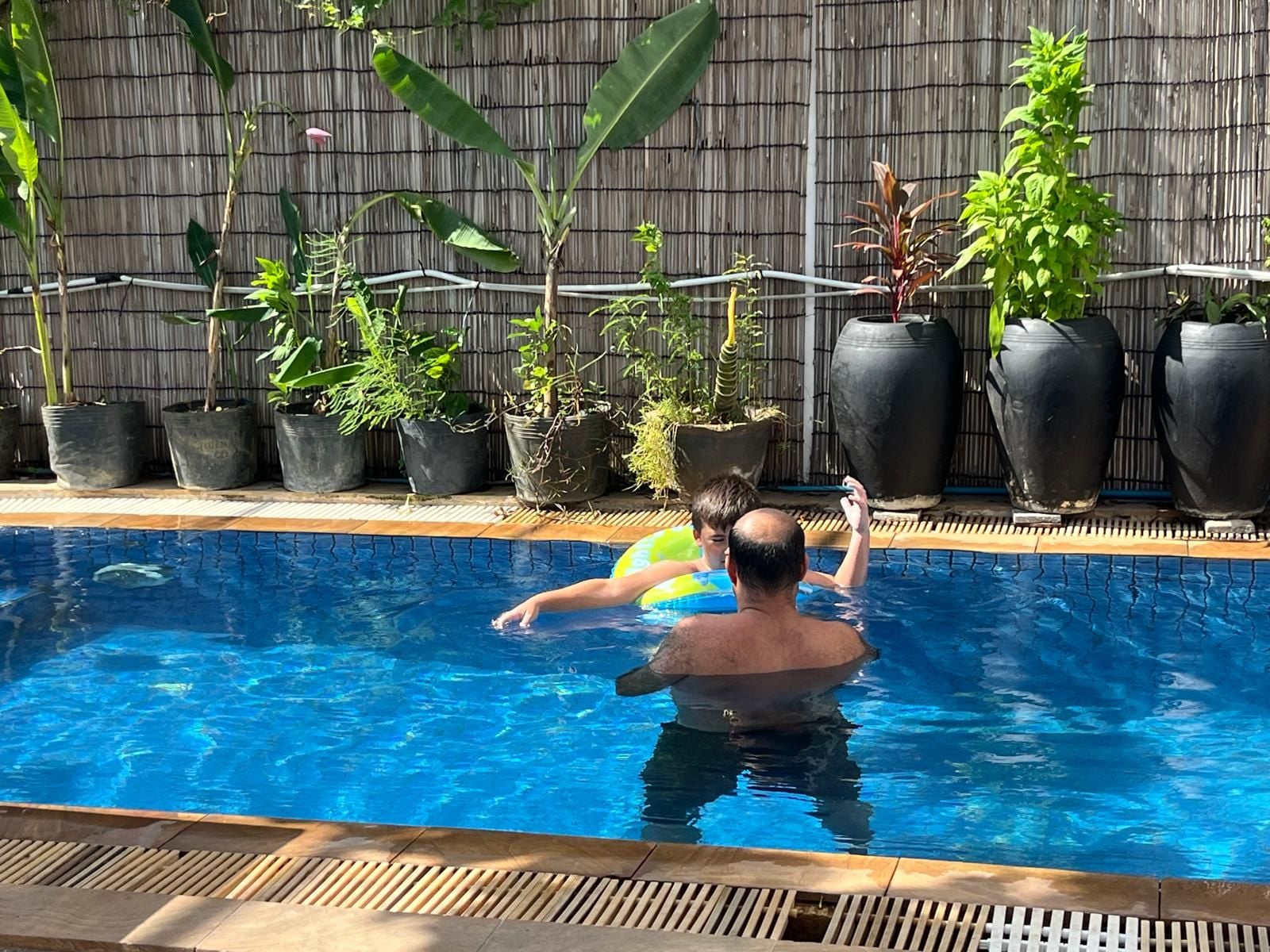 Piscina externa com cerca de bambu e plantas em vasos.