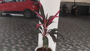 Uma planta em vaso branco, um carro vermelho e um chão de azulejos com padrão hexagonal.