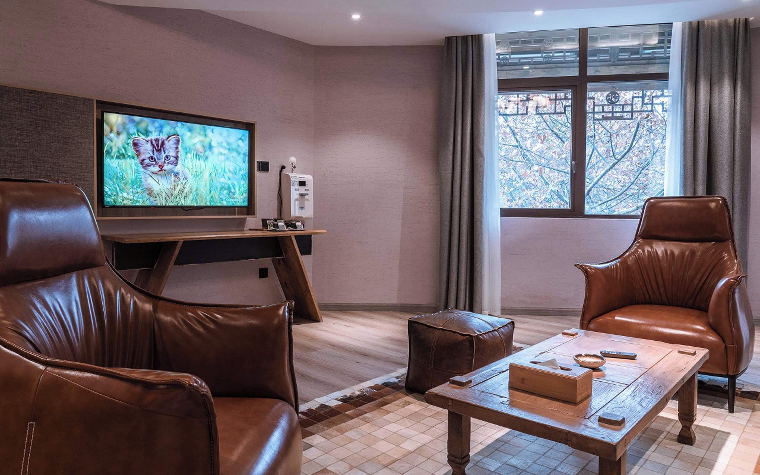 Quarto com sofás de couro, mesa de centro de madeira, televisão e janela com vista para árvores.