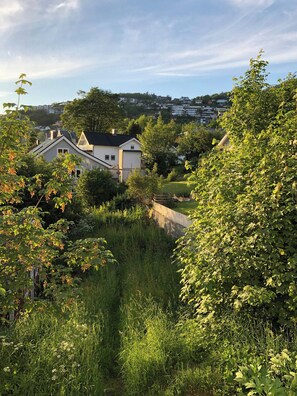 Um bairro residencial com casas cercadas por muita vegetação e céu claro.