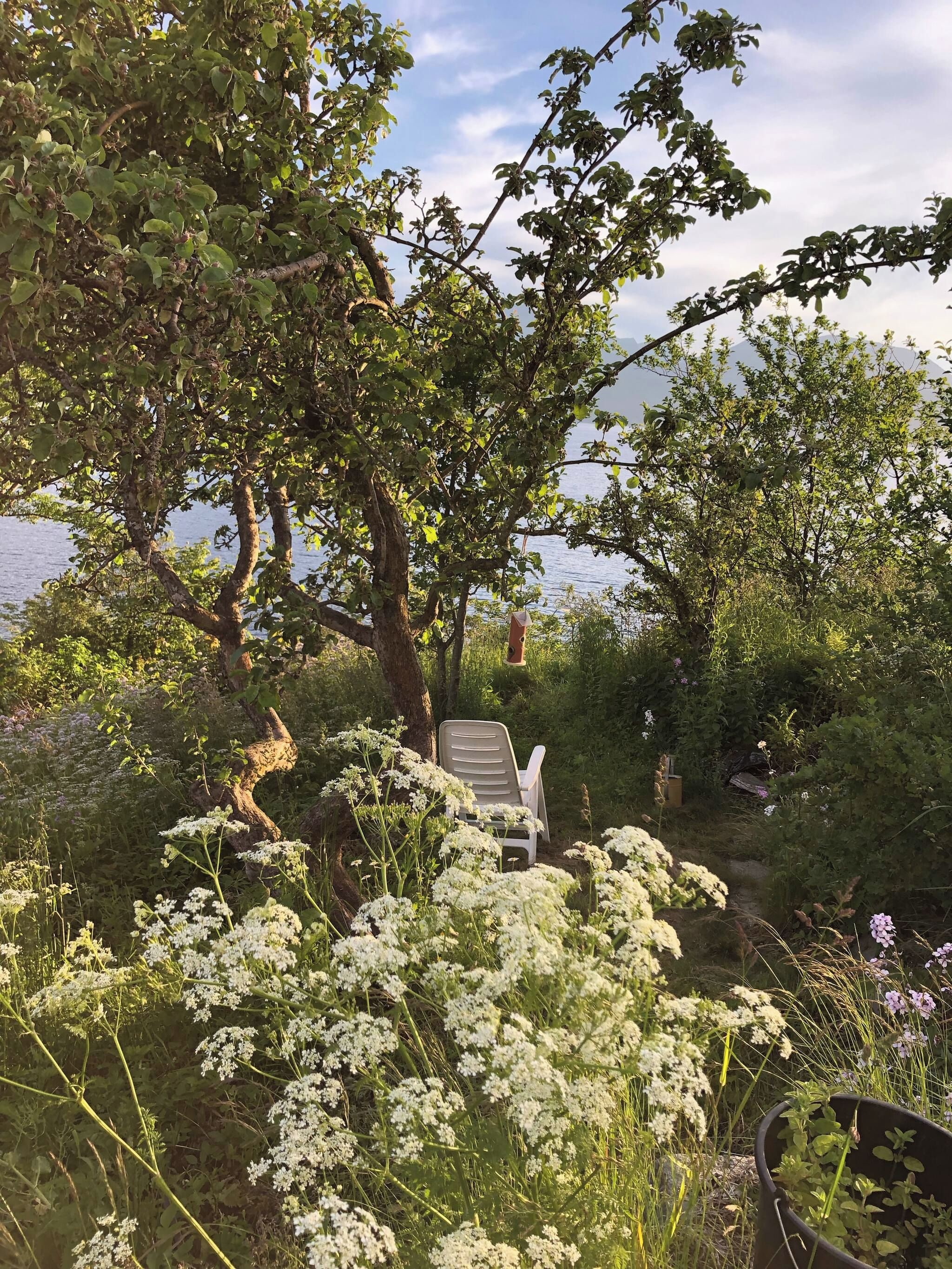 Um jardim com uma cadeira e uma mesa, cercado por árvores e flores.