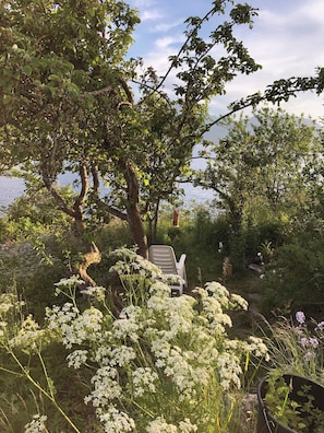 Um jardim com uma cadeira e uma mesa, cercado por árvores e flores.