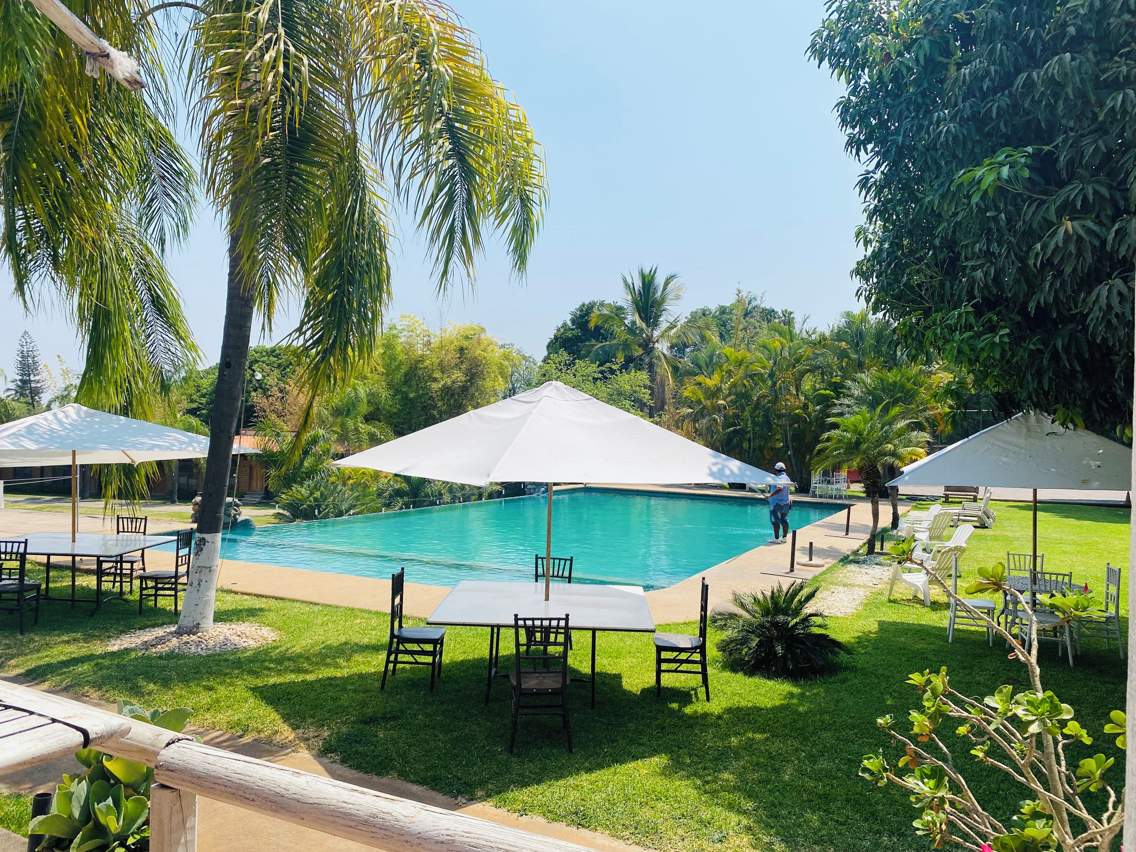 Piscina cercada por cadeiras, guarda-sóis e vegetação exuberante.