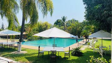 Piscina cercada por cadeiras, guarda-sóis e vegetação exuberante.