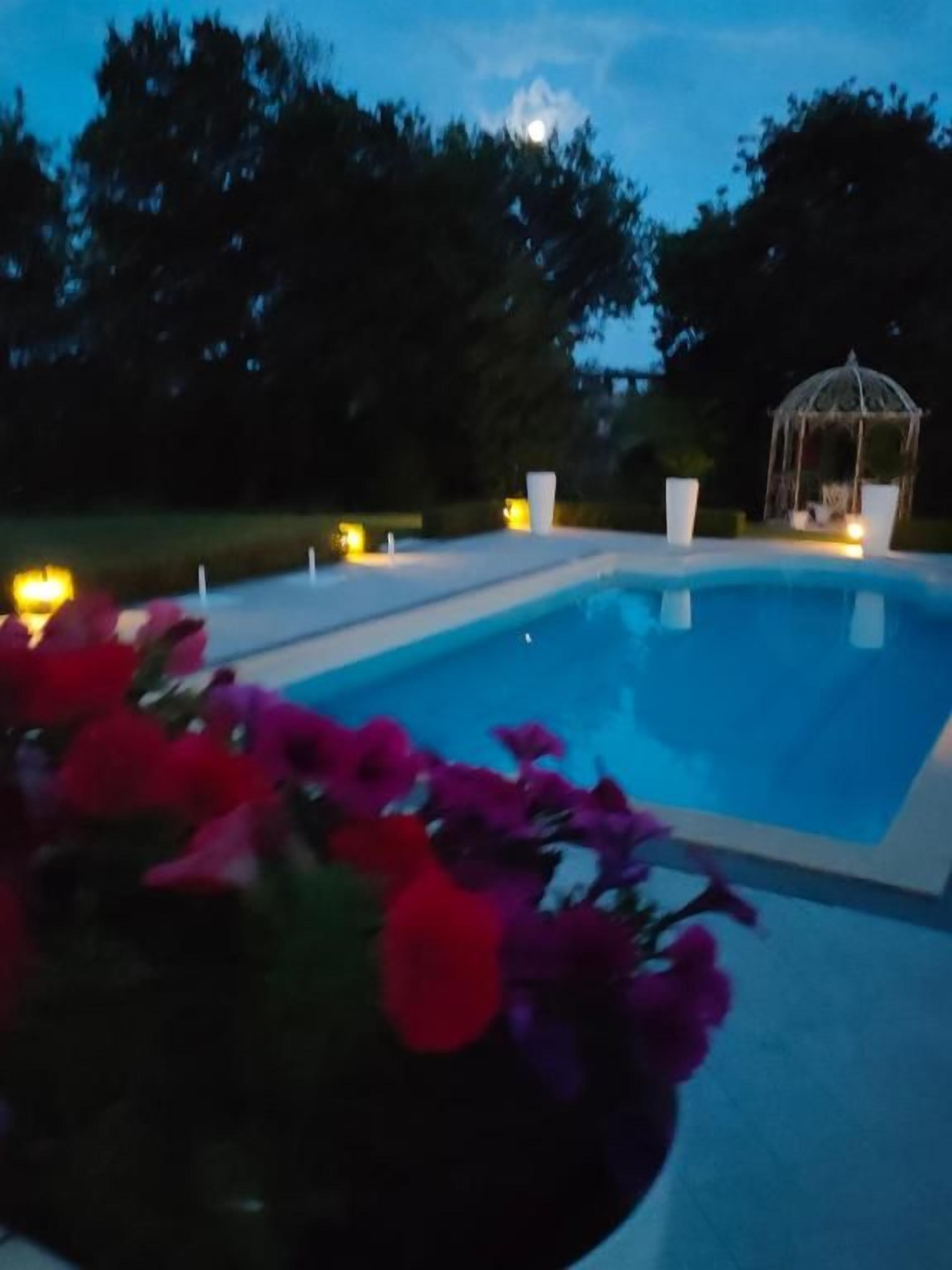 Piscina com gazebo e plantas em vasos.
