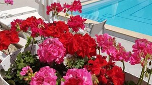 Piscina com espreguiçadeiras e guarda-sóis, rodeada por plantas em vasos e vegetação.