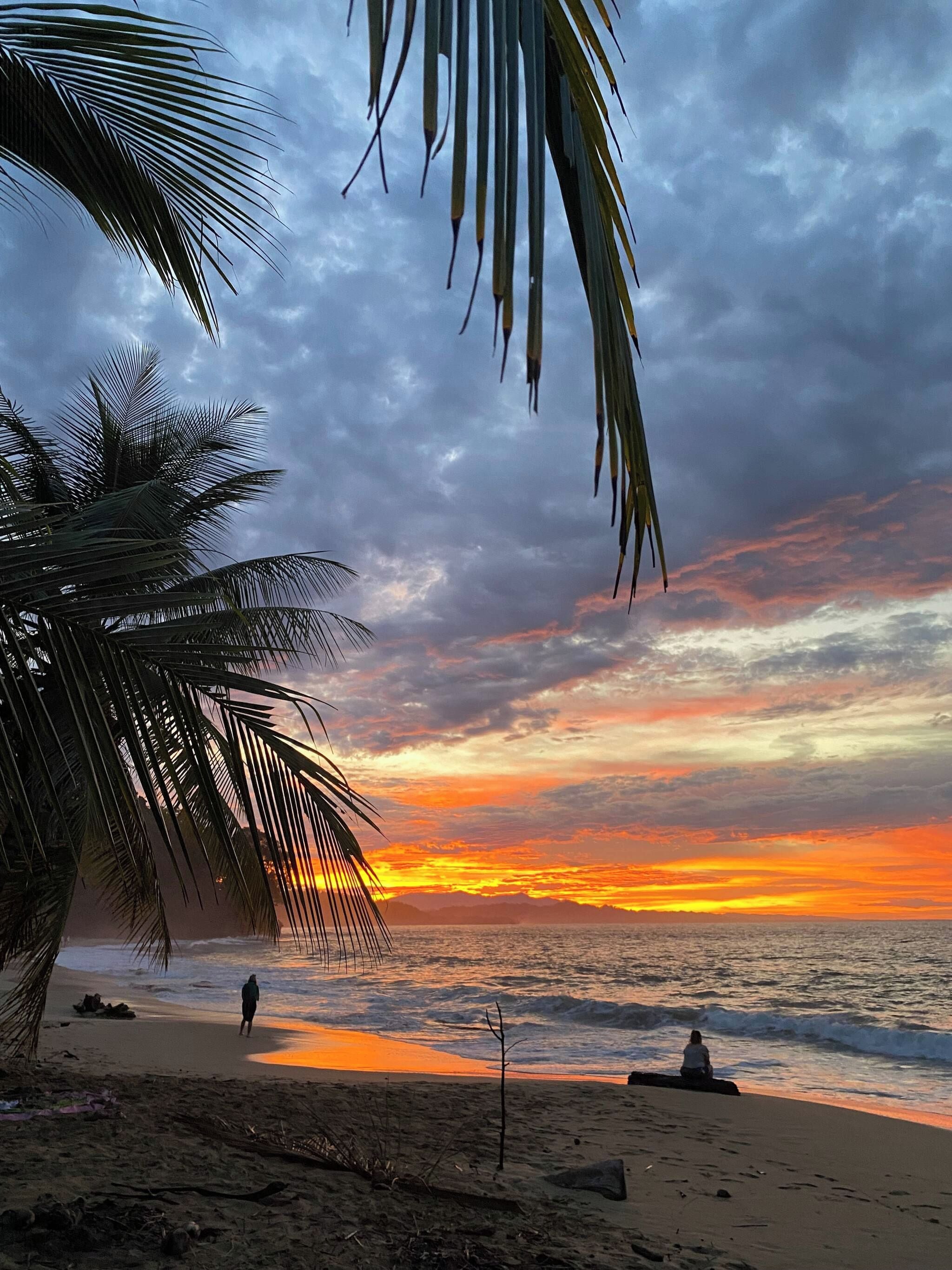Cena de praia com palmeiras, um pôr do sol e o oceano.
