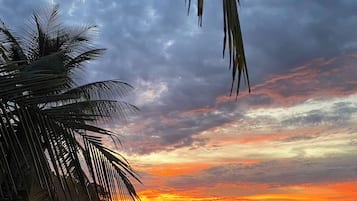 Cena de praia com palmeiras, um pôr do sol e o oceano.