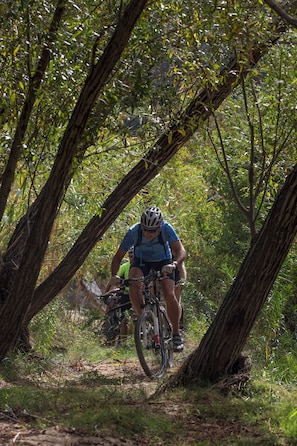 Uma pessoa andando de bicicleta em uma trilha de terra cercada por árvores.