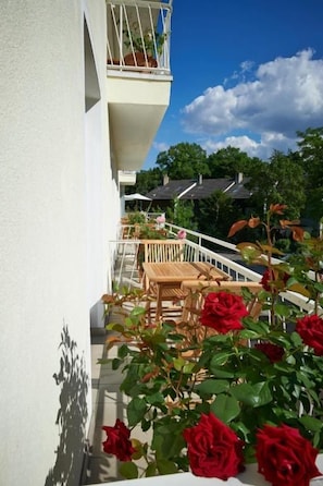 Terraço/pátio