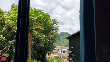 Janela com vista para uma paisagem verde e edifícios.