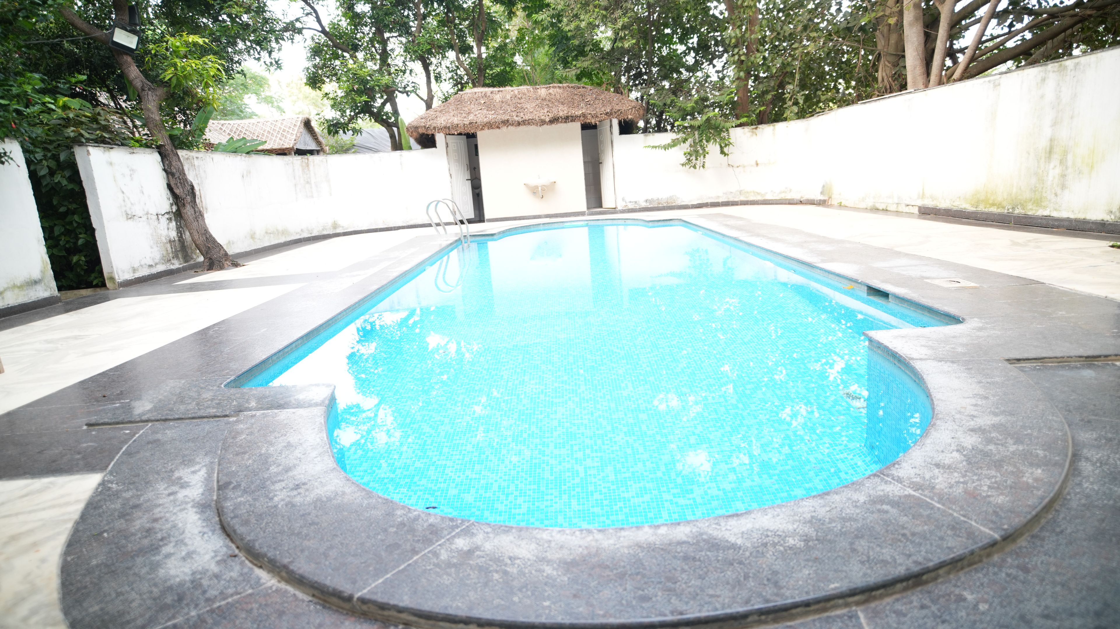 Piscina retangular com borda azulejada, rodeada por um muro baixo e uma árvore.