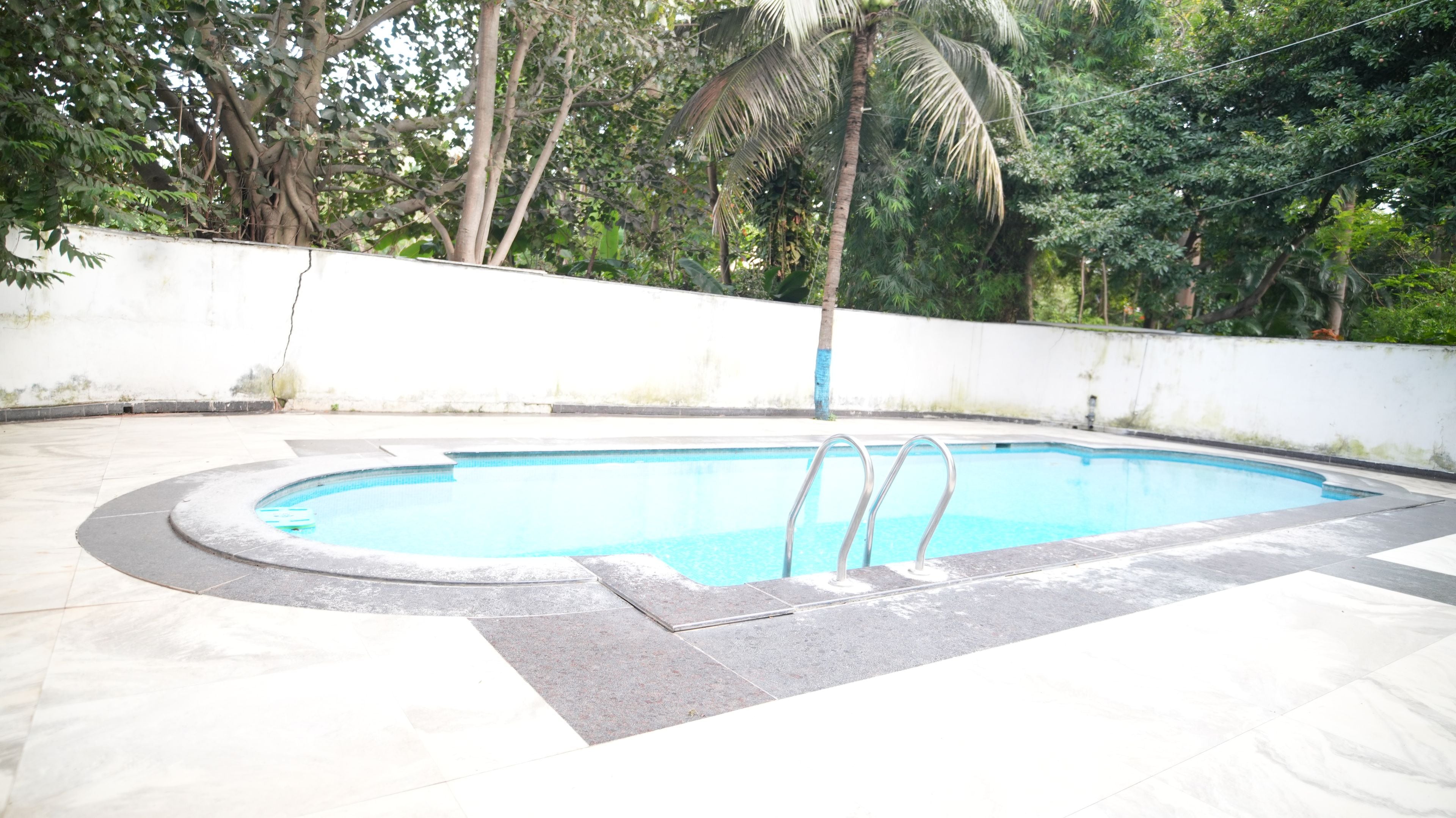 Piscina com deck revestido em azulejo e escada de metal, cercada por um muro branco e árvores.