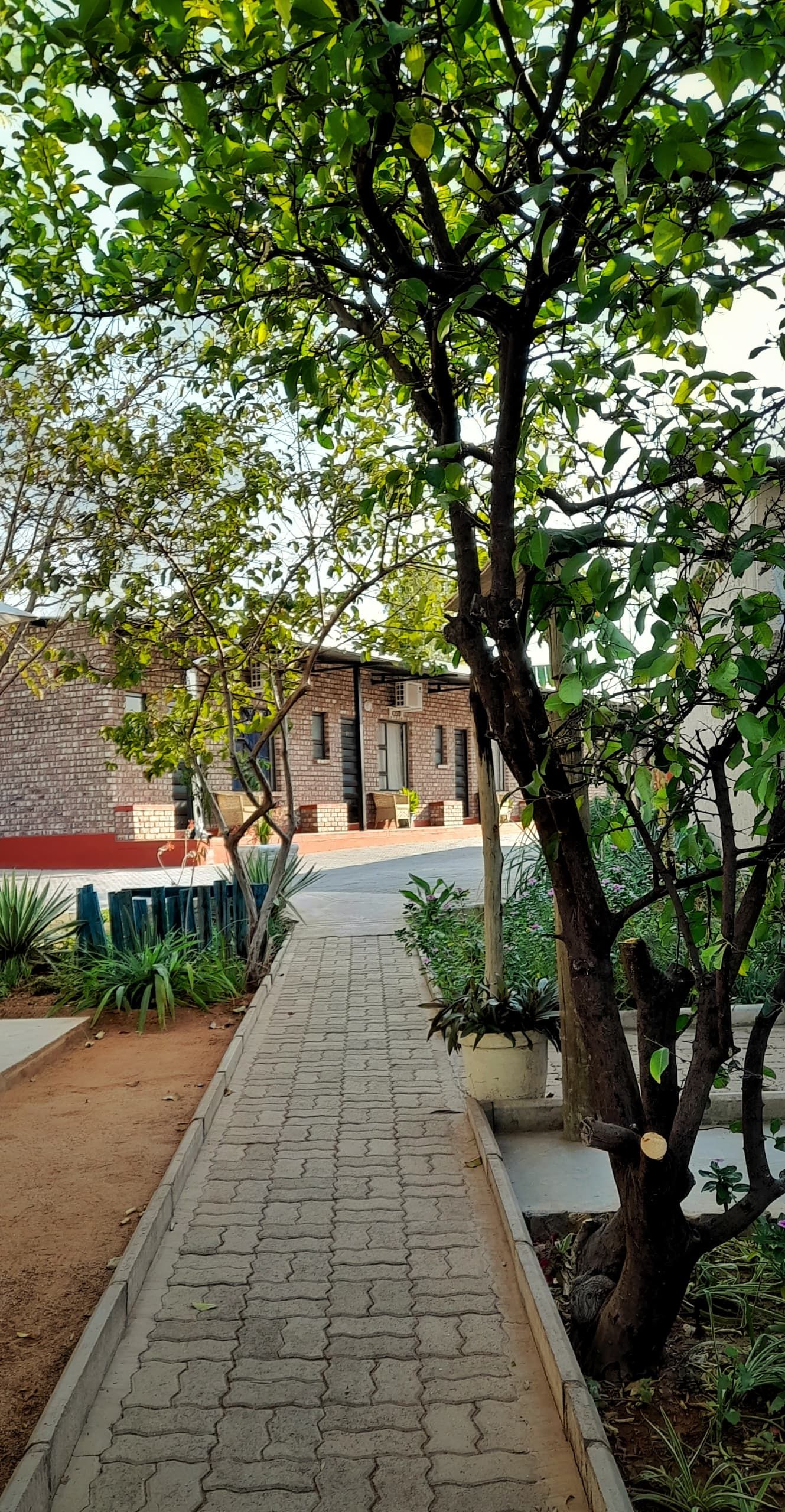 Uma trilha pavimentada que conduz a um edifício com fachada de tijolos.