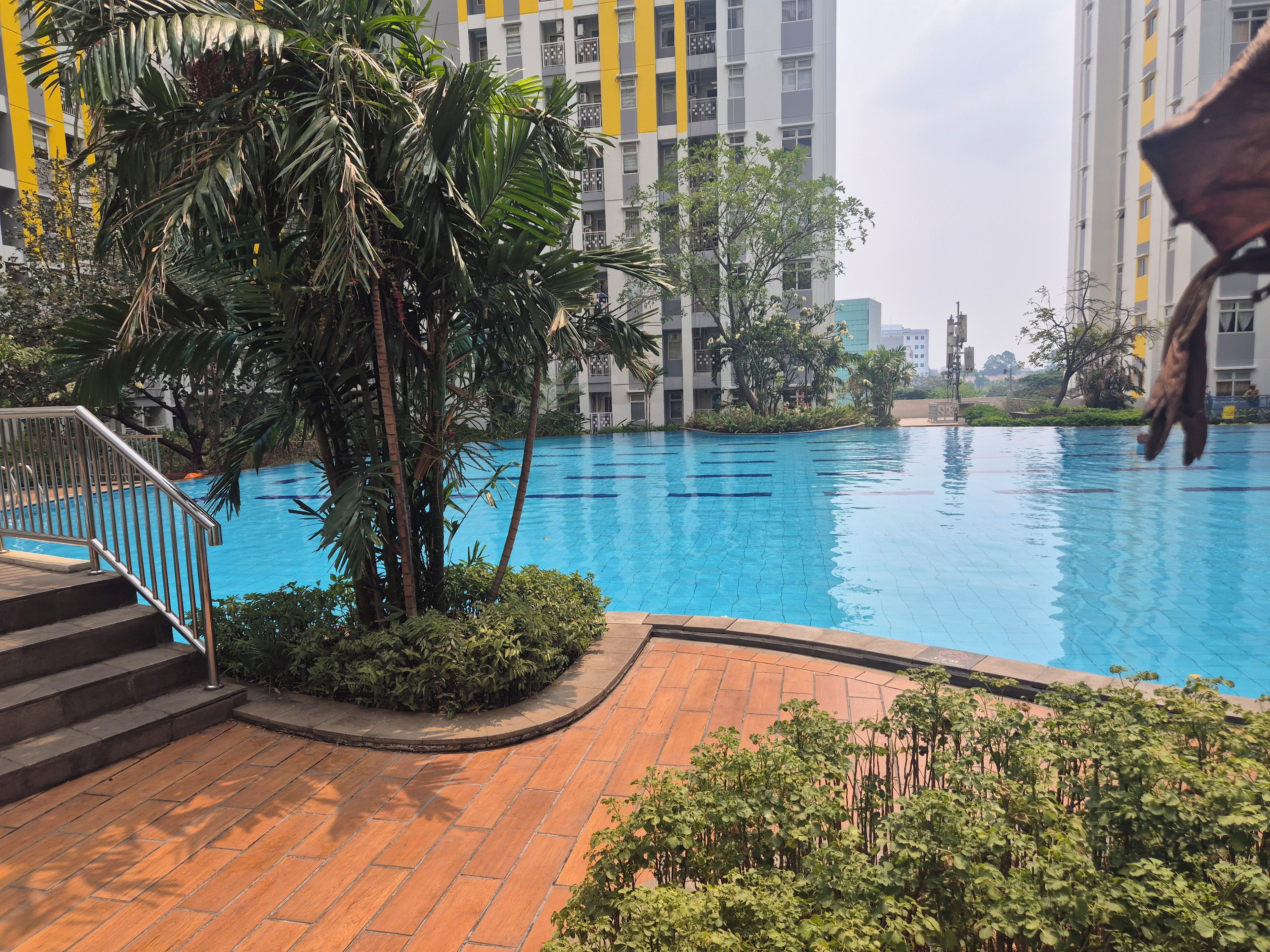 Piscina com deck de madeira e guarda-corpo de metal, rodeada por vegetação e edifícios modernos ao fundo.