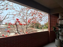 Quarto com vista para uma árvore com flores vermelhas através de uma janela.