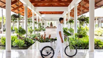 Área externa coberta com uma pessoa ao lado de uma bicicleta, cercada por vegetação e um elemento aquático.