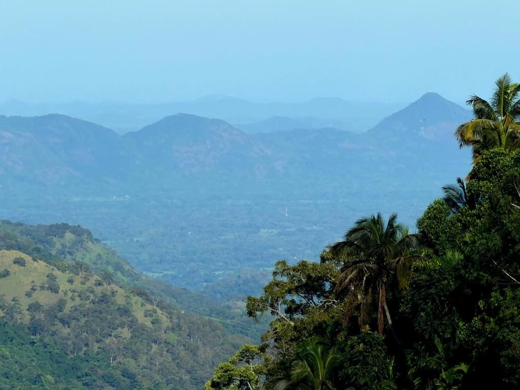 Paisagem montanhosa com vegetação densa e palmeiras.