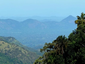 Paisagem montanhosa com vegetação densa e palmeiras.