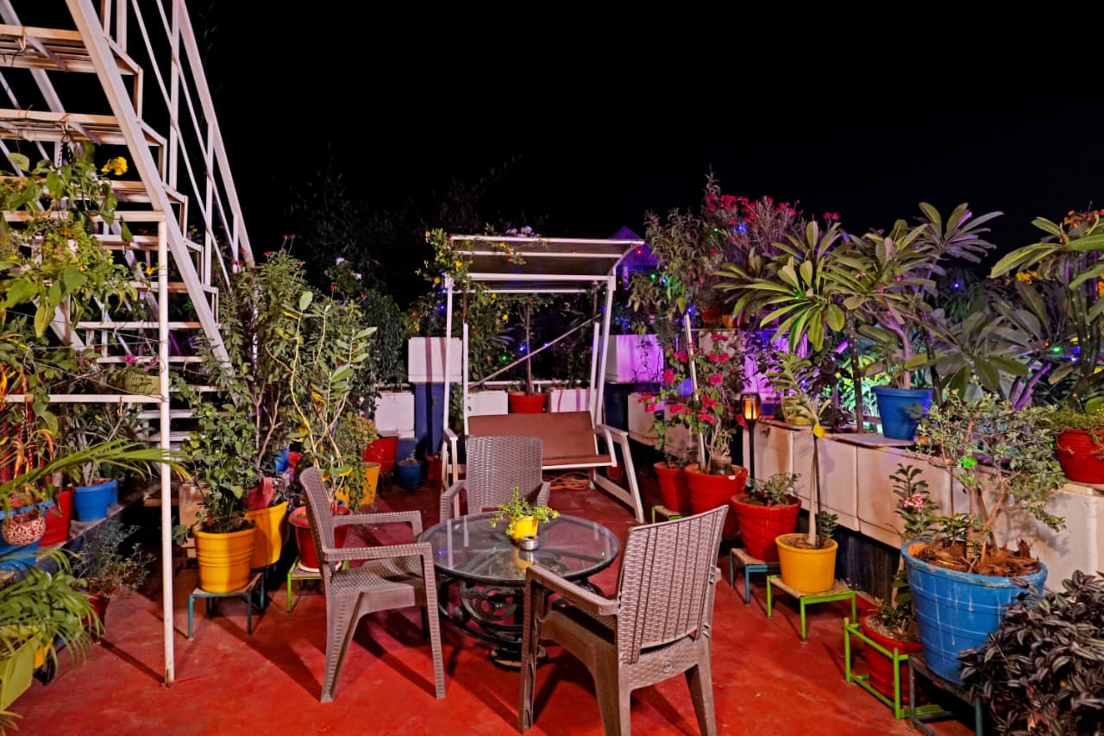 Um pátio externo com mesa de vidro e cadeiras de vime, cercado por vasos de plantas e uma estrutura de treliça branca.
