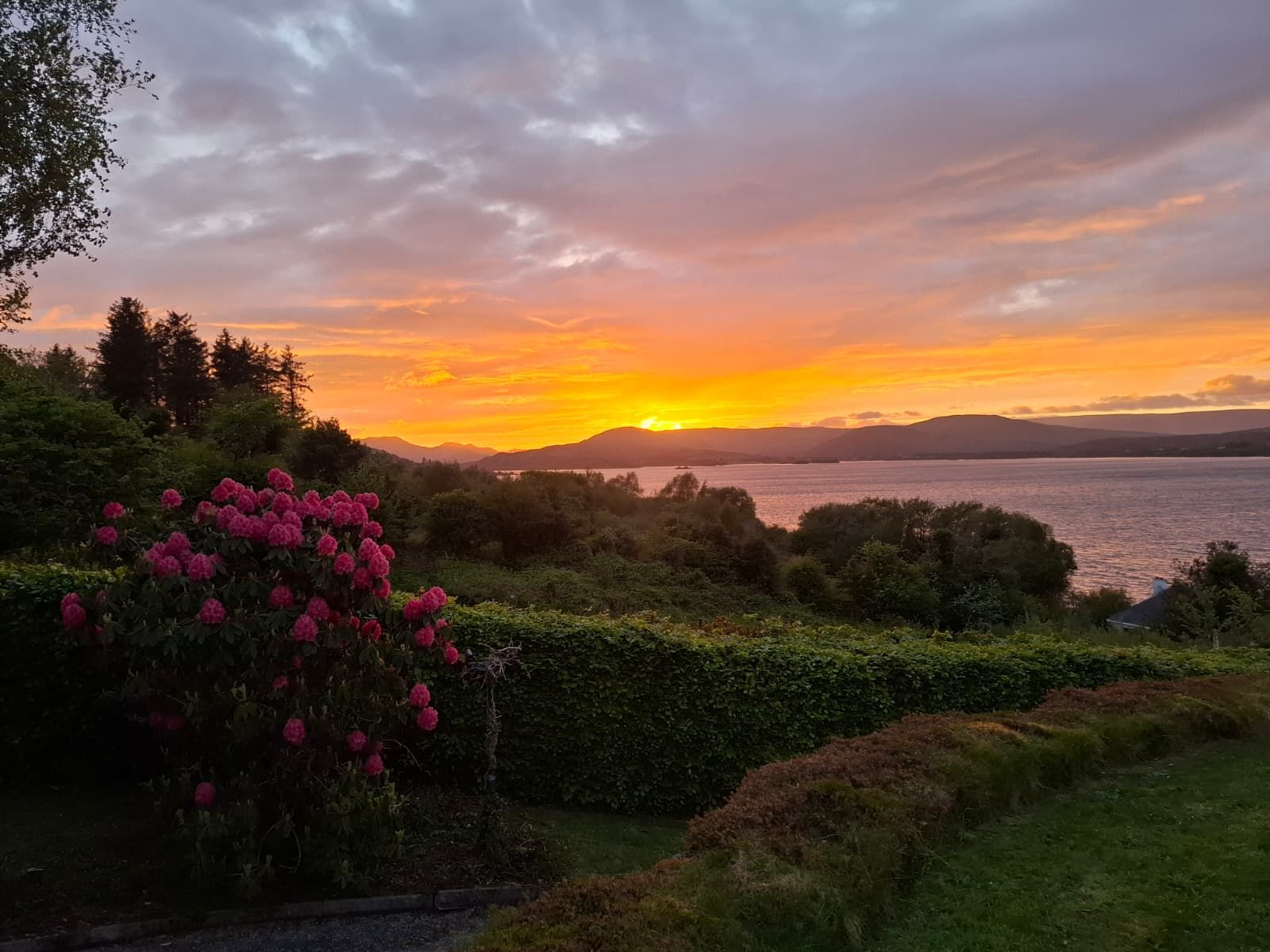 Um pôr do sol sobre a água com um jardim ao primeiro plano.