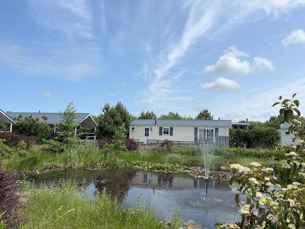 Área residencial com casas, um lago com nenúfares e céu claro.