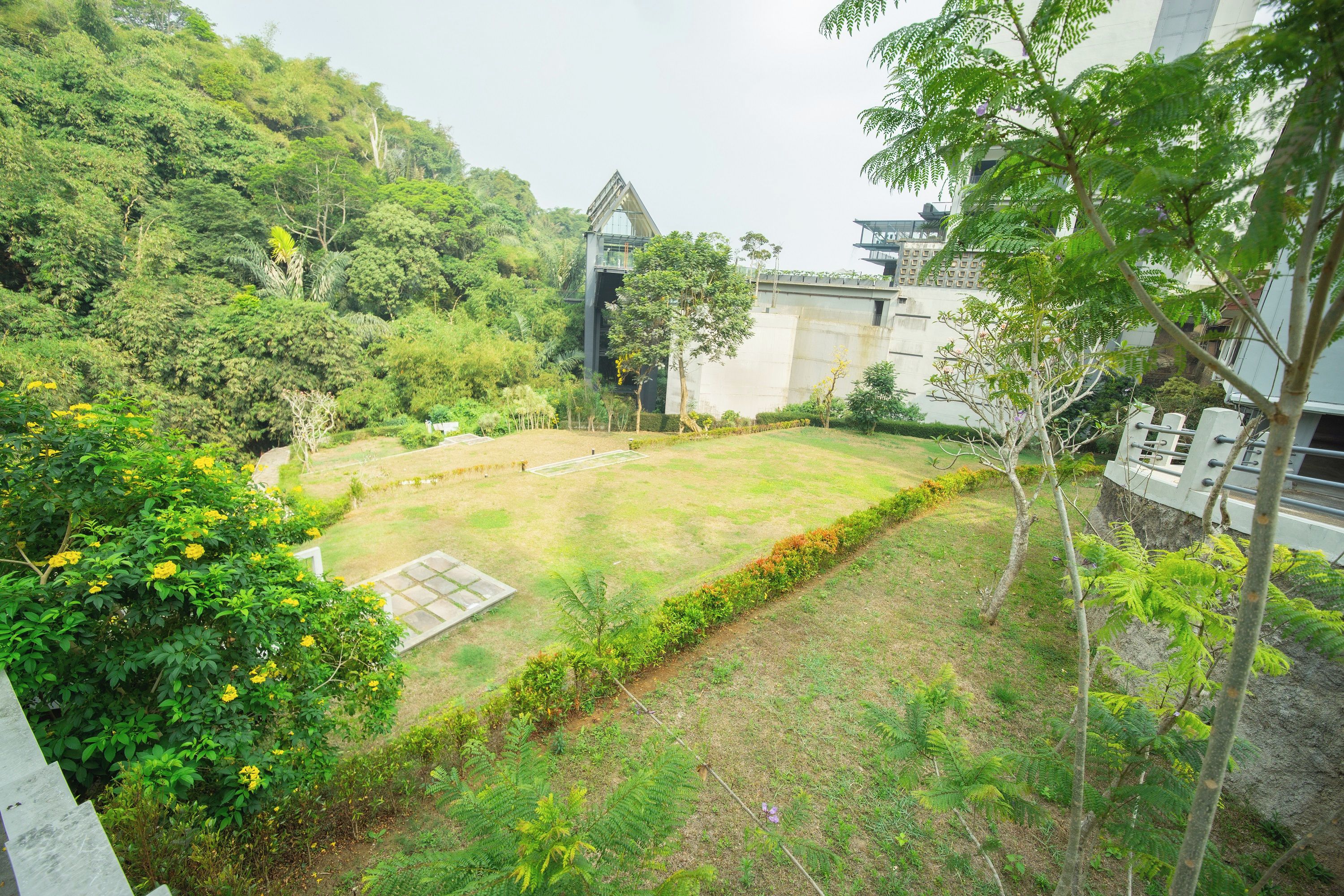 Um jardim ajardinado com gramado, área pavimentada e diversas árvores e arbustos.