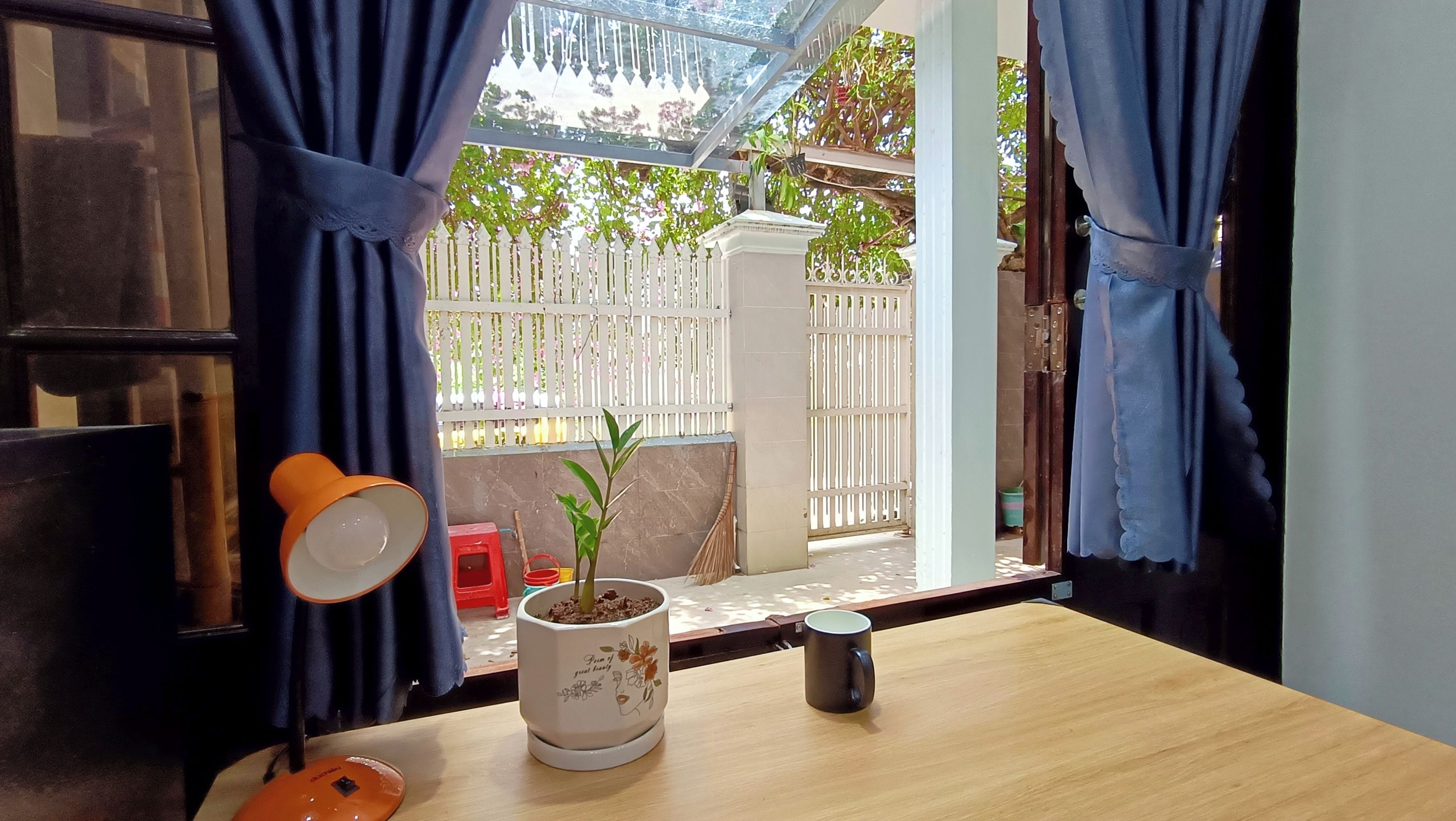 Quarto com uma mesa de madeira, planta em vaso, luminária e vista para uma cerca branca e vegetação lá fora.