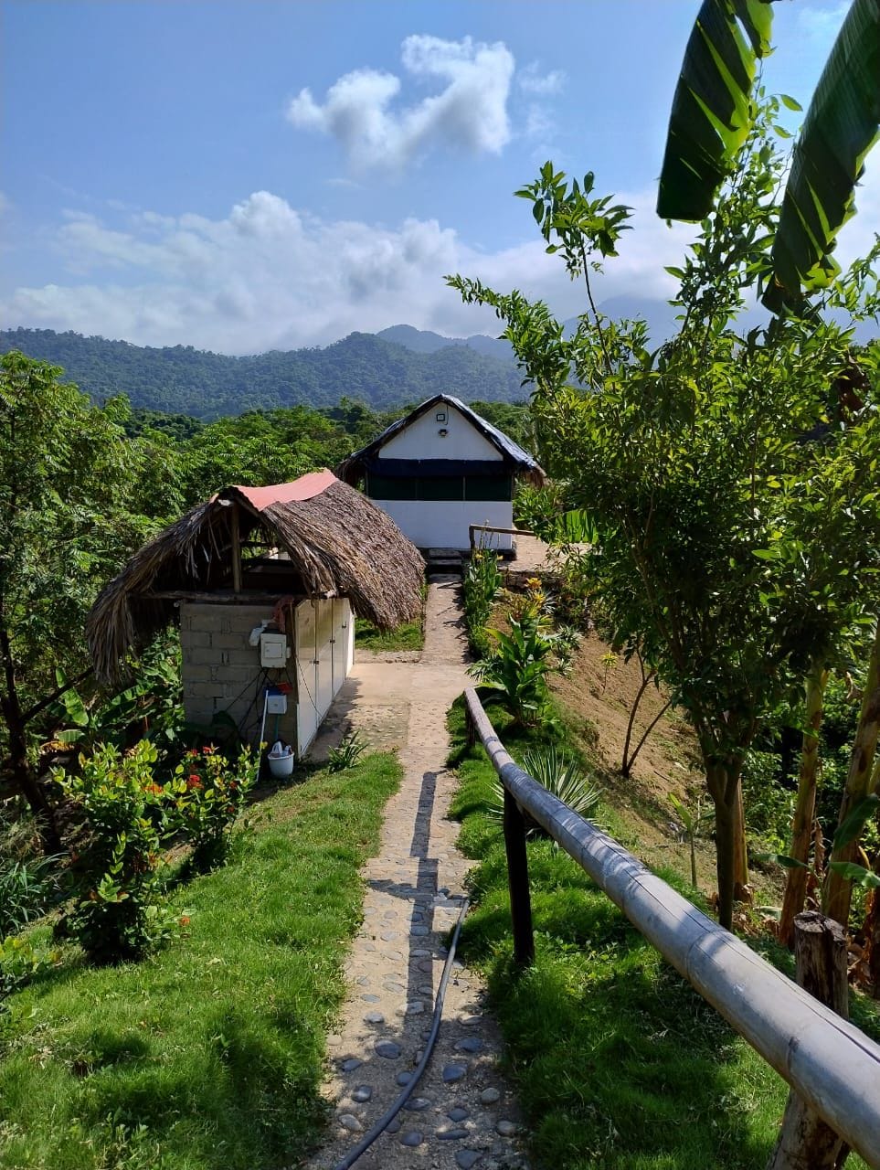 Uma trilha leva a uma construção com telhado de palha e a um edifício moderno com telhado inclinado.