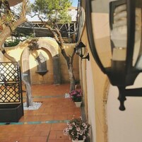 Pátio com piso de azulejos, portão de metal, árvore e plantas em vasos.