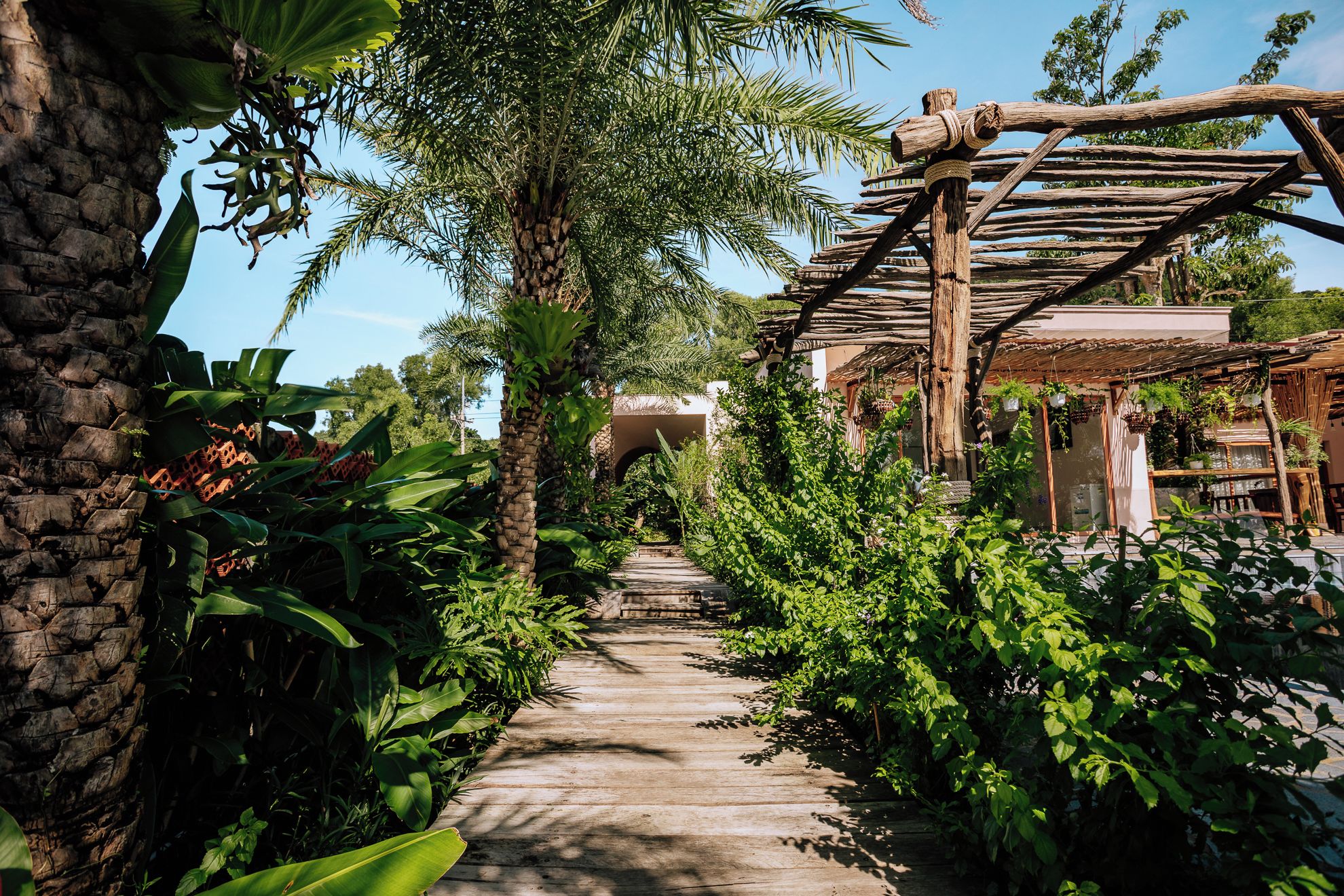 Um caminho serpenteia por um jardim exuberante com uma estrutura de pérgula de madeira.