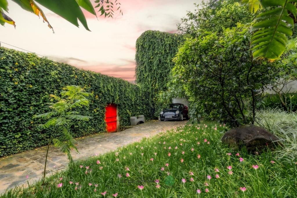 Um jardim com um caminho pavimentado, uma porta vermelha e um carro preto estacionado perto da entrada.
