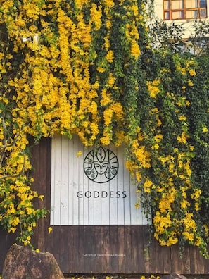 Parede de madeira com um logotipo e a palavra 'GODDESS', parcialmente coberta por flores amarelas.