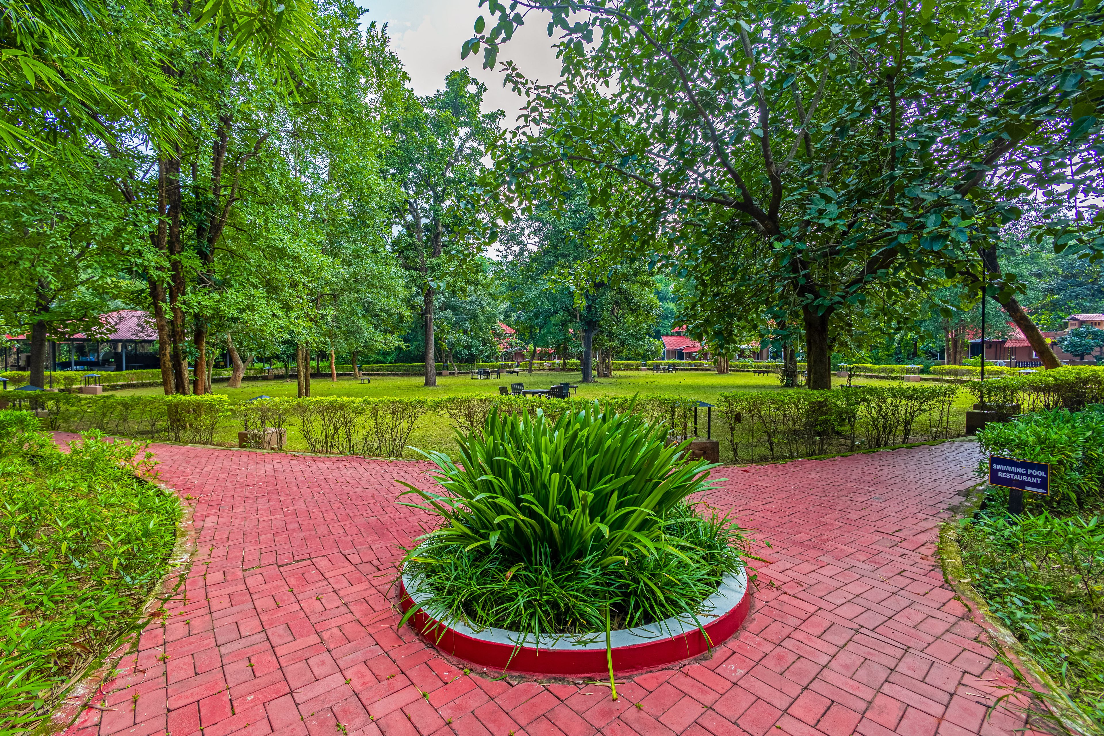 Jardim