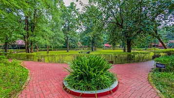 Jardim
