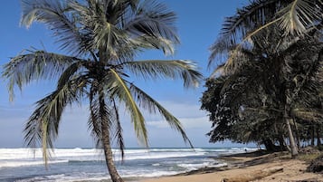 Uma praia com palmeiras, areal e ondas do oceano.