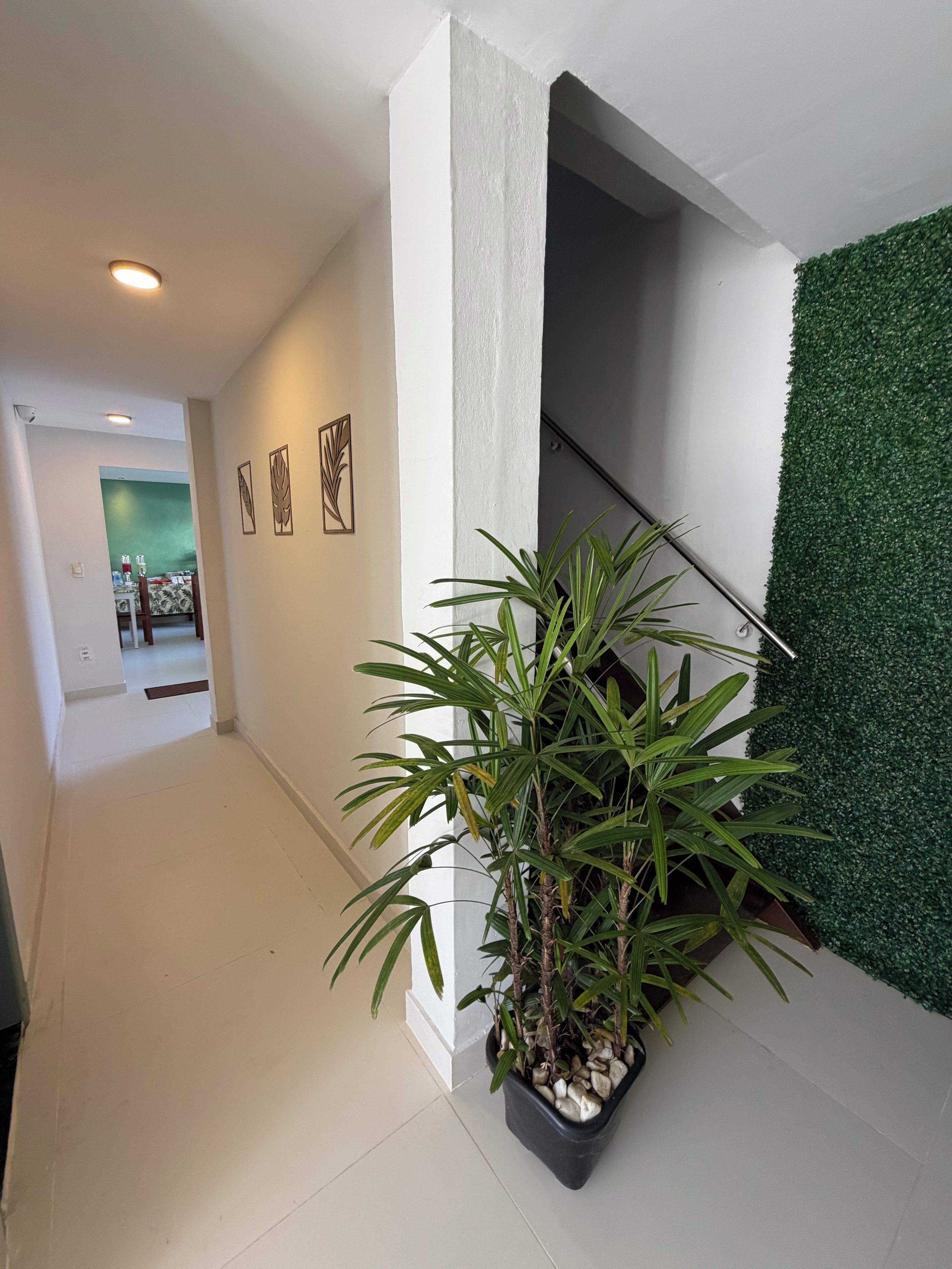 Um interior moderno com escada, planta em vaso e parede verde.