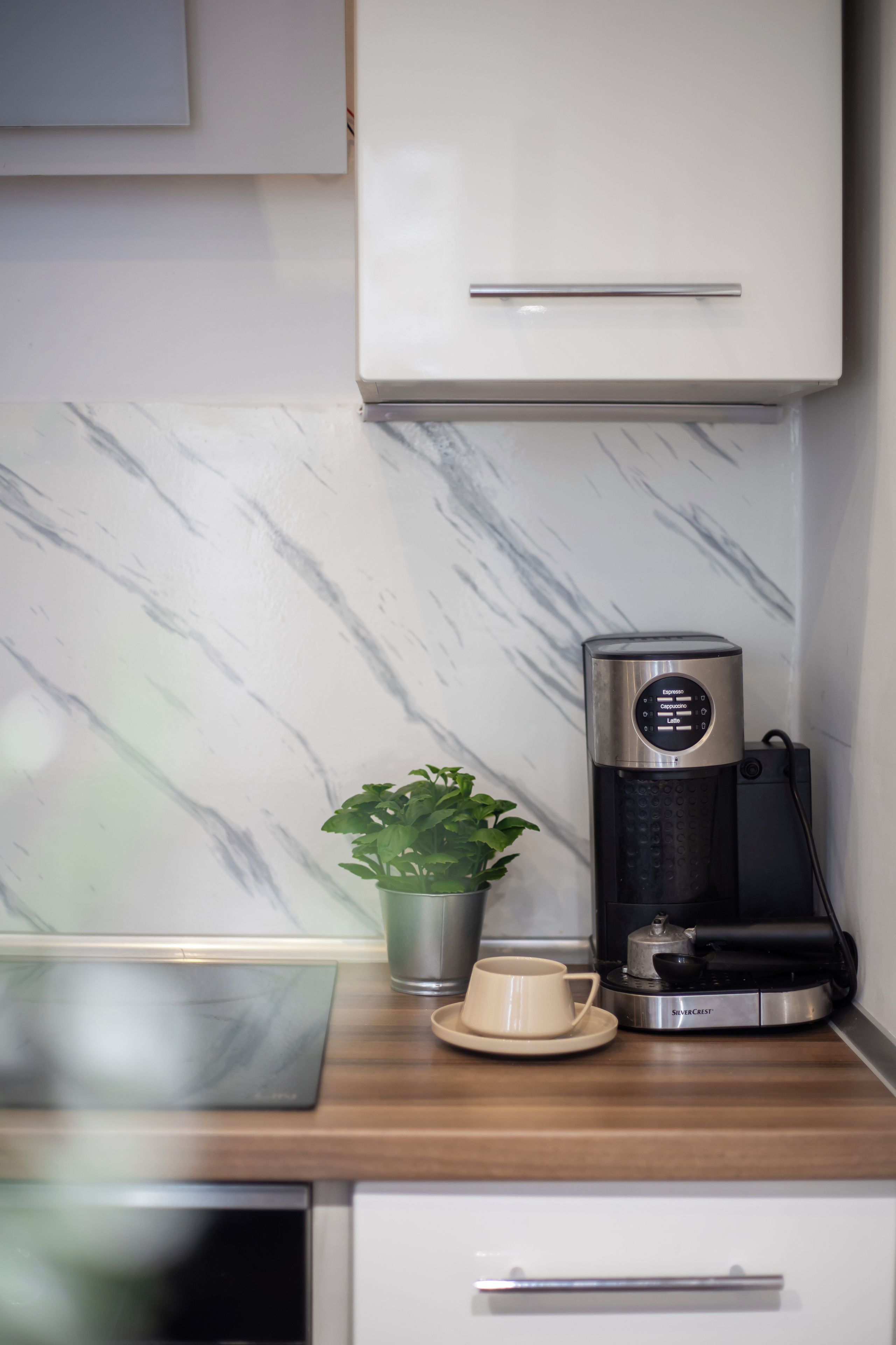Cozinha com cafeteira, um vaso de planta e uma xícara sobre o balcão.