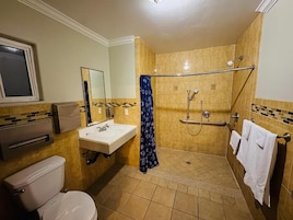 Casa de banho com sanita, lavatório, espelho, chuveiro e porta-toalhas.