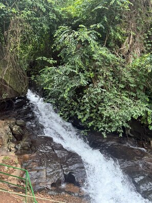 Uma cascata que deságua sobre rochas, cercada por vegetação densa.