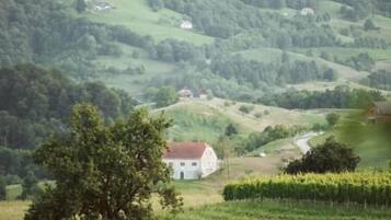 Paisagem rural com colinas ondulantes, um edifício branco com telhado vermelho e uma árvore em primeiro plano.