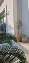 Fachada de prédio com janela, planta em vaso e um parapeito de concreto.