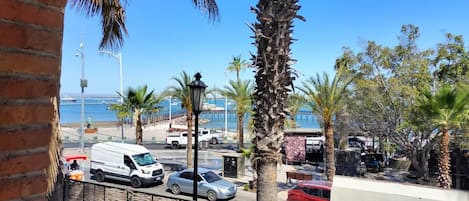 Uma rua costeira com carros estacionados, palmeiras e vista para o mar.