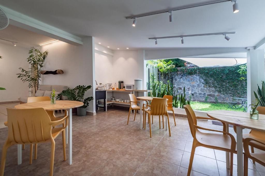 Uma área de refeições moderna com cozinha ao fundo, uma grande janela com vista para o verde e um teto com iluminação embutida.