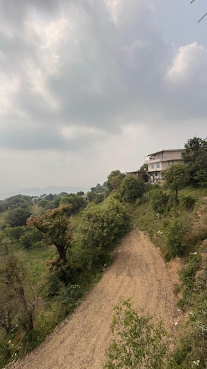 Paisagem rural com um caminho de terra que leva a um edifício rodeado de árvores.