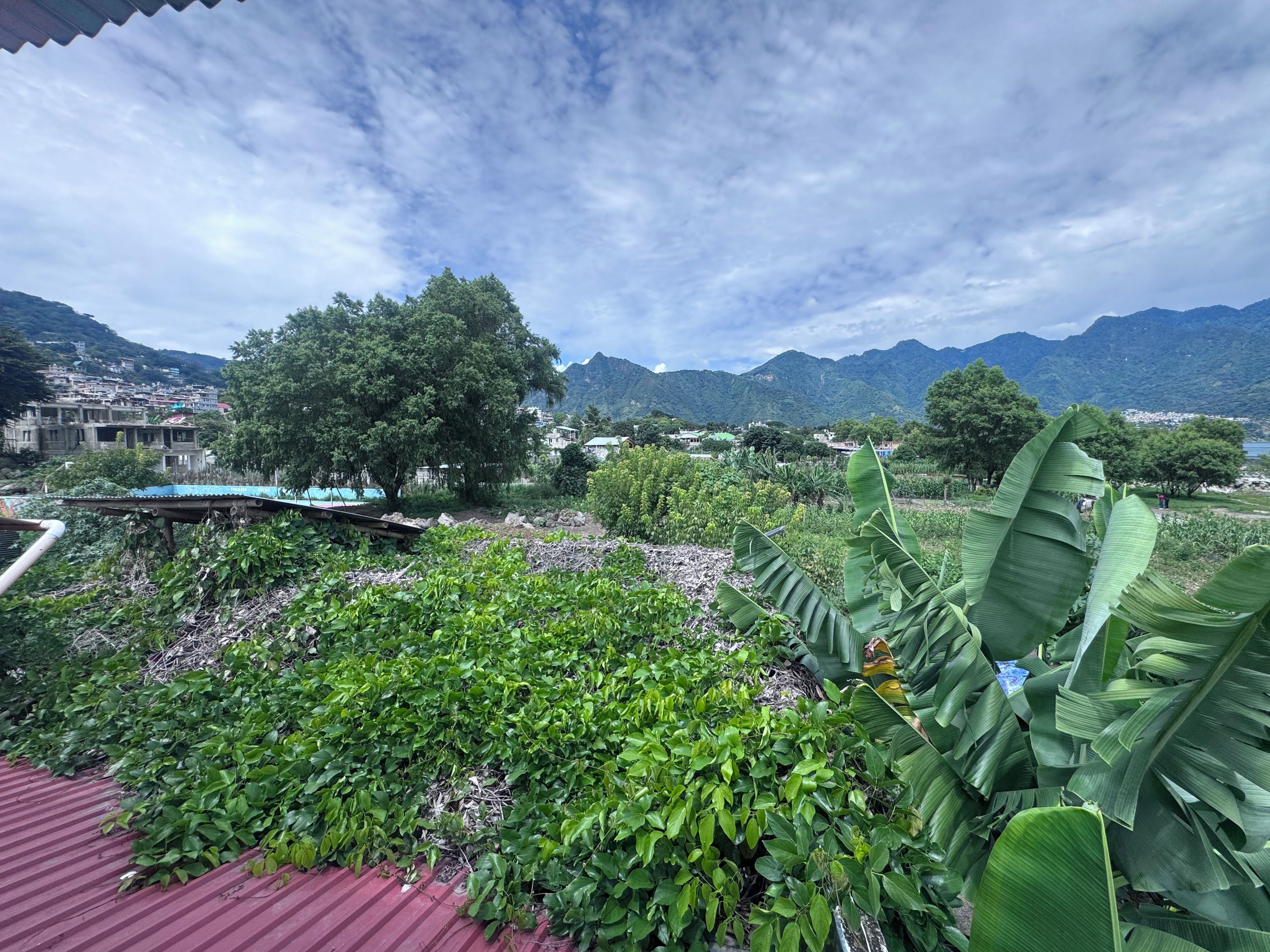 Paisagem verde exuberante com uma árvore grande, bananeiras e vista para uma área montanhosa ao fundo.