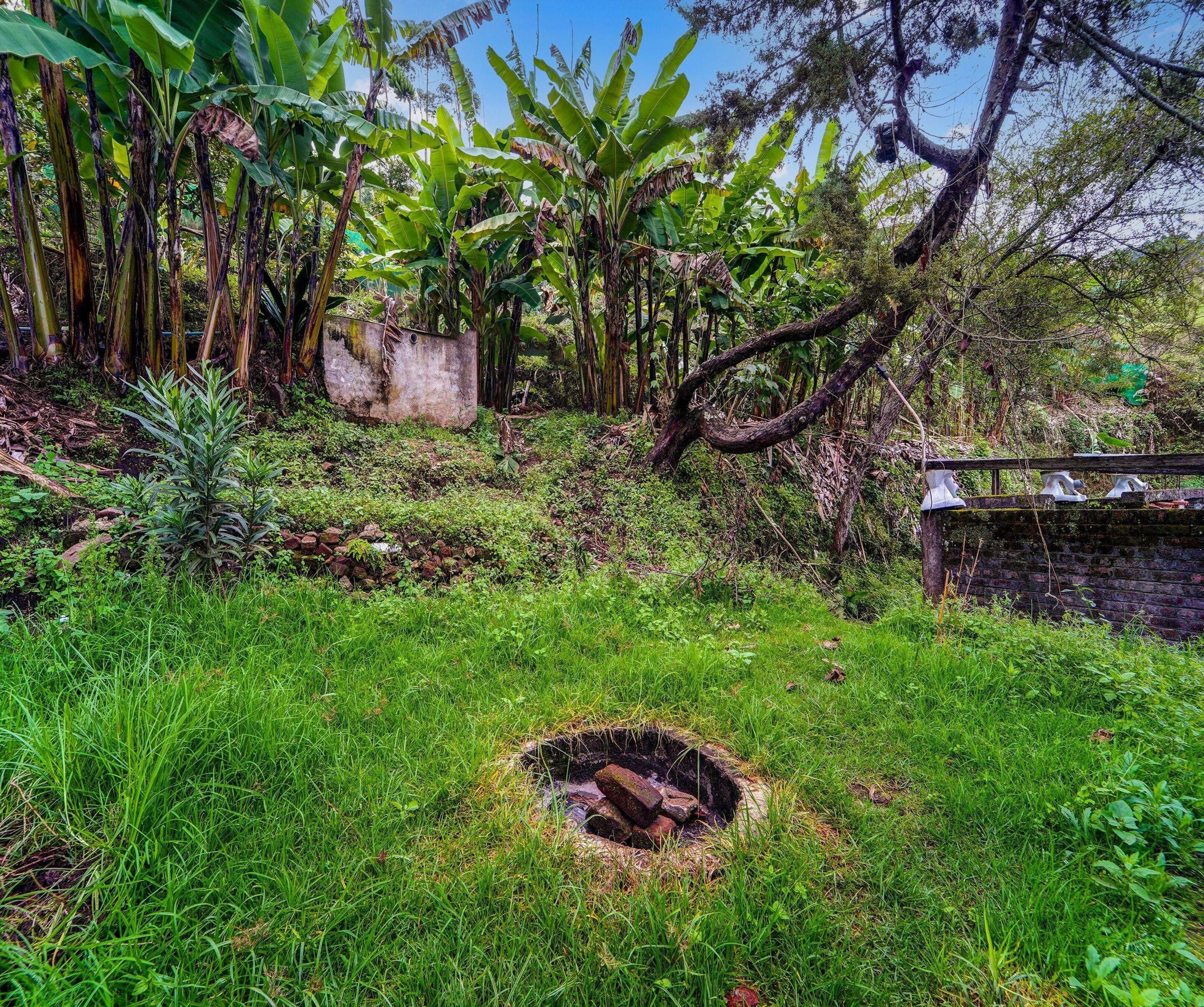 Uma área natural ao ar livre, com um primeiro plano gramado, uma estrutura de pedra e bananeiras ao fundo.
