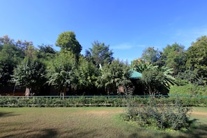 Um jardim exuberante com diversas árvores e arbustos, uma área cercada e um edifício com telhado verde.