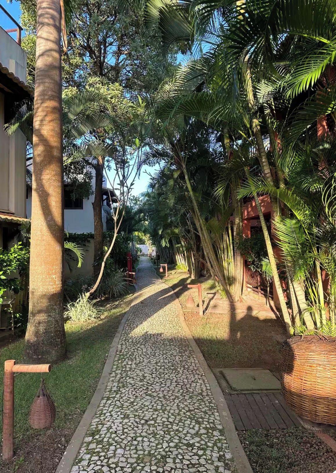 Caminho ladeado por palmeiras e um edifício com telhado de telhas.