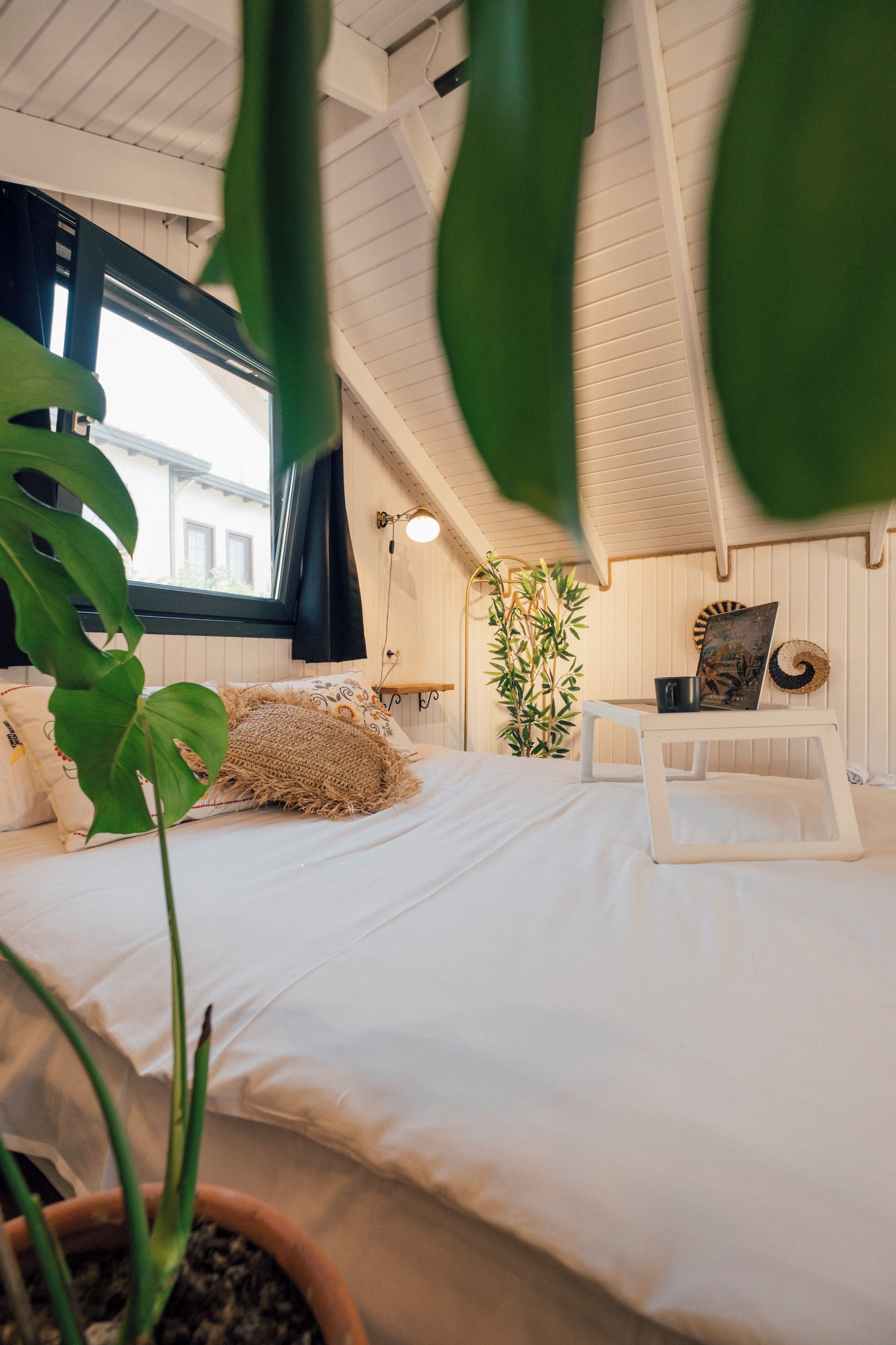 Quarto com cama, planta em vaso, mesa de cabeceira e janela.